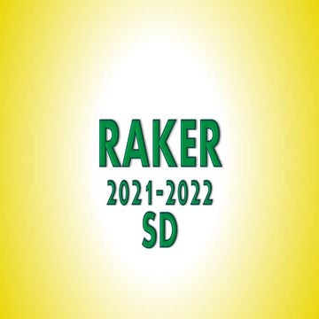 Raker Template.pptx