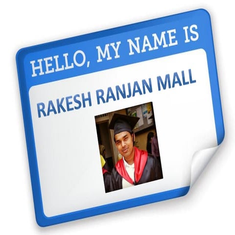 Rakesh Ranjan Mall Visual CV | PDF