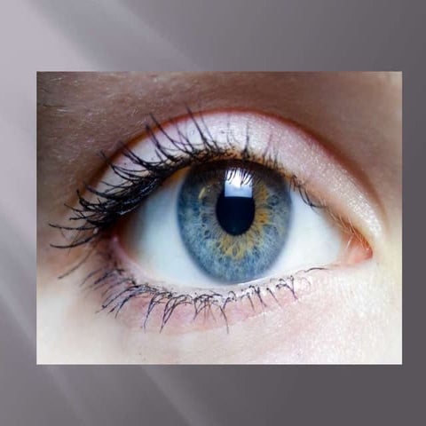 presentation of eye | PPTX