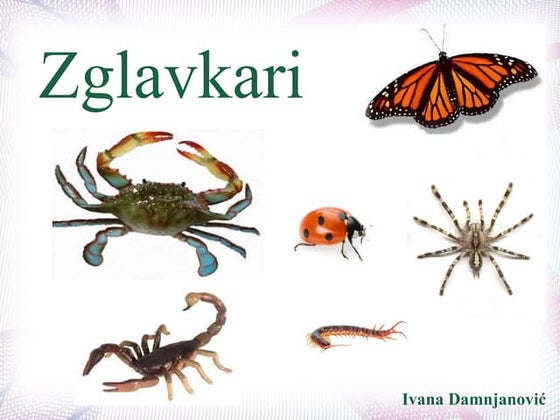 L168 - Biologija - Zglavkari - Aleksandra Živadinović - Danijela ...