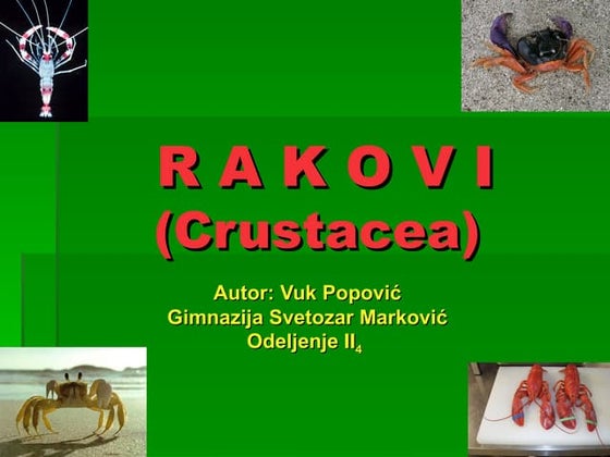 L168 - Biologija - Zglavkari - Aleksandra Živadinović - Danijela ...