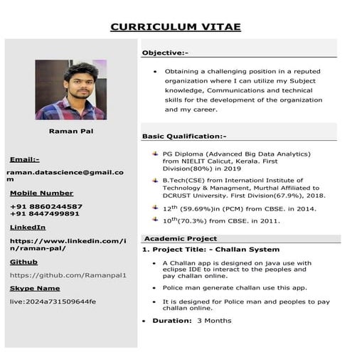 Raman pal Resume | PDF | Computer Software and Applications | Computing
