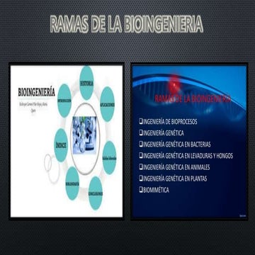 RAMAS DE LA BIOINGENIERIA.pptx