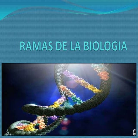 Ramas De La Biologia | PPTX