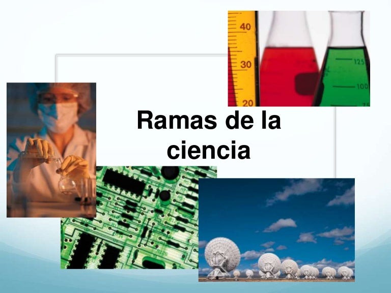 Ramas de las ciencias
