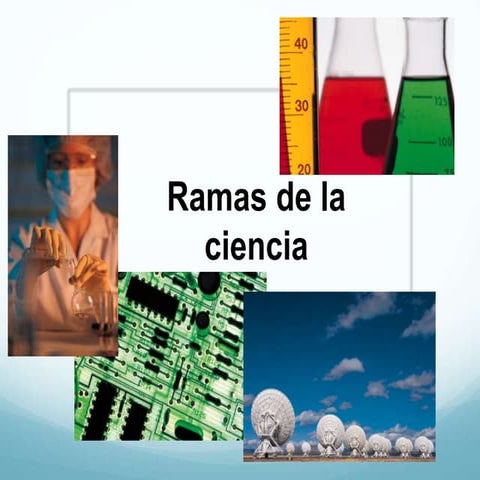 Ramas de las ciencias | PPTX