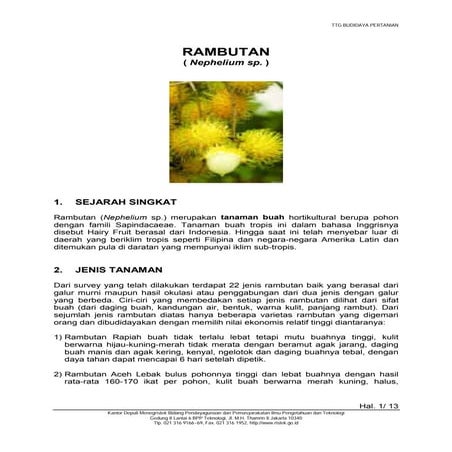 Rambutan | PDF