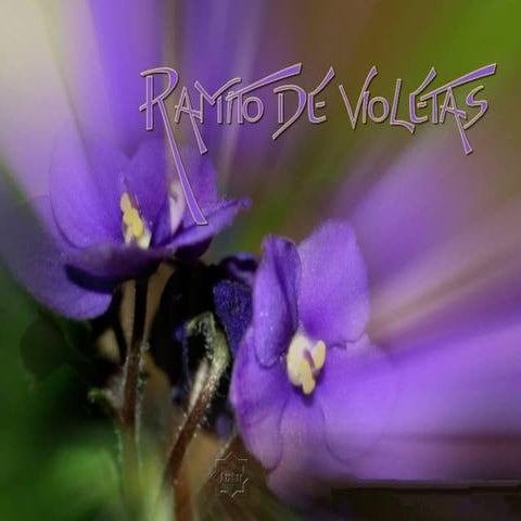 "Ramito de violetas" | PPS