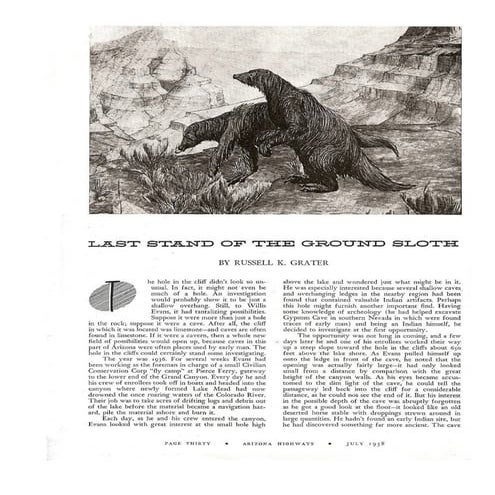 Rampart Cave Ground Sloth Habitat | DOC | Zoos & Aquariums | Attractions