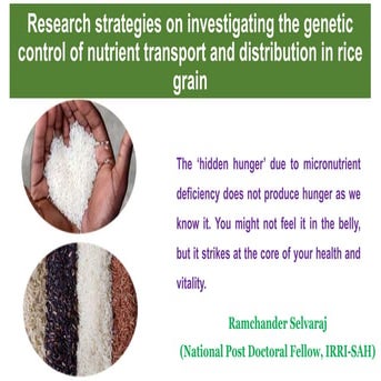 Ram presentation isarc_final | PPT