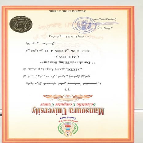 ICDL certificate | PDF