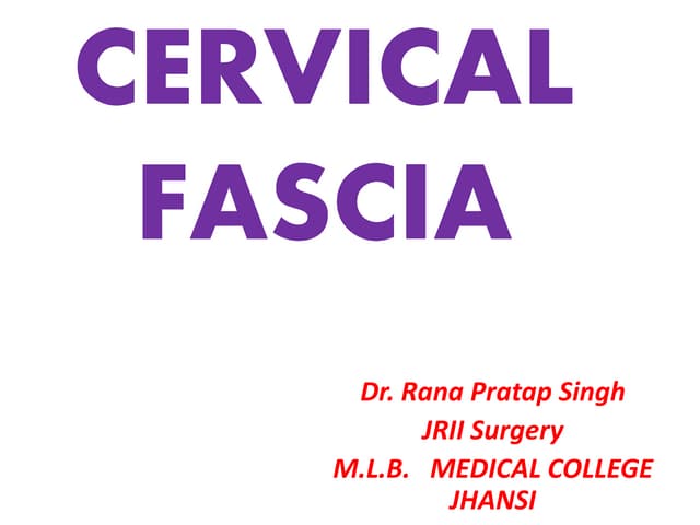 Ansa cervicalis | PPTX