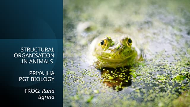 Frog Class 11th NCERT CBSE NEET biology notes | PDF