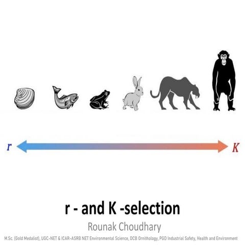 r and K selection.pdf