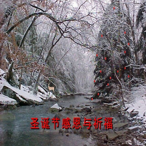 Merry Christmas 2007 | PPS