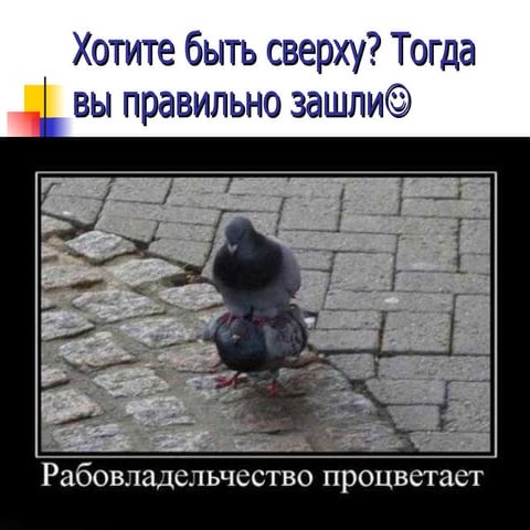 Доклад Вики Придатко на первой встрече сообщества Стратоплан.Ру | PPT ...