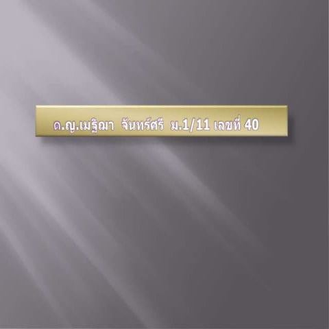 Masterclass Netwerken | PDF