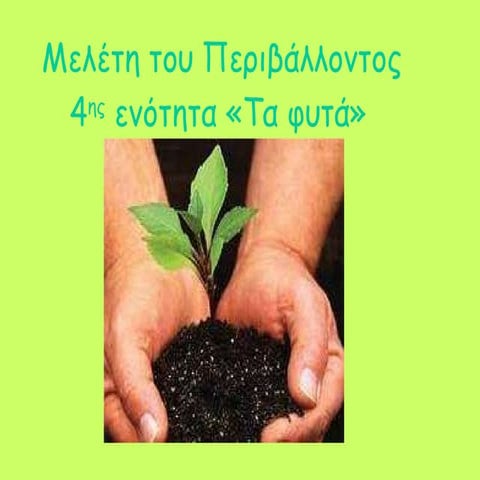 Μελέτη του περιβάλλοντος -Γ' Τάξη | PPT