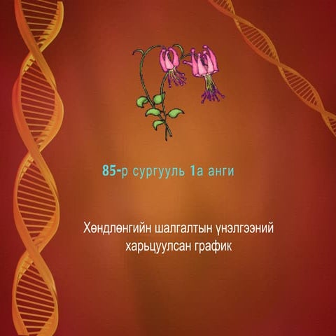 шалгалтын график | PPT