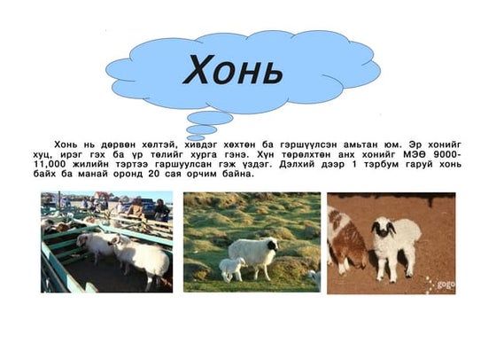5 хошуу мал | PPT