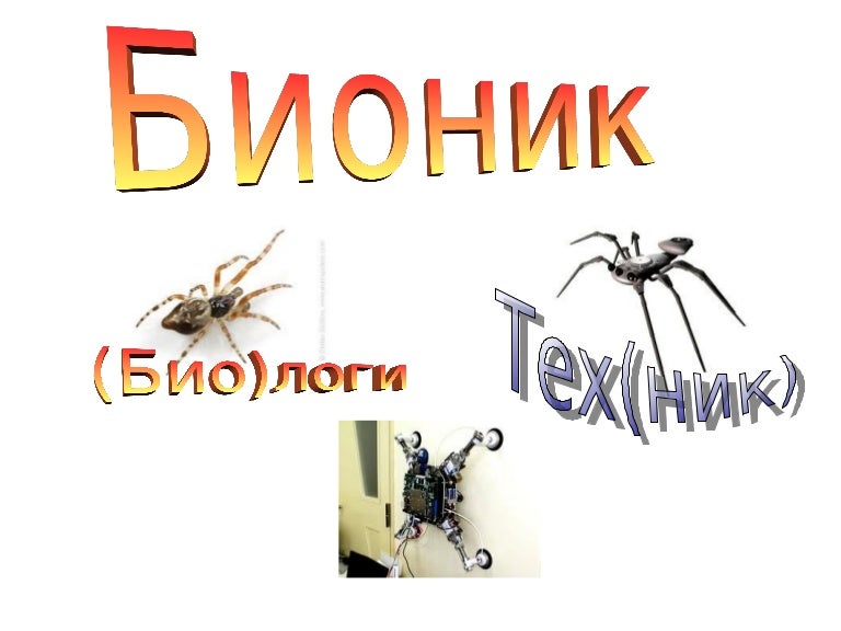 бионик