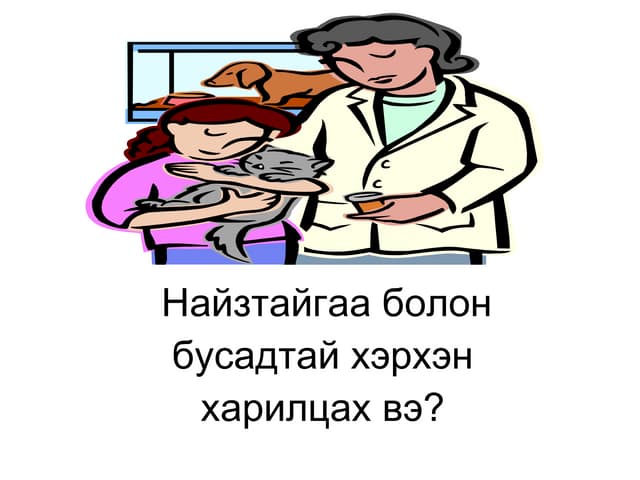 өсвөр насны хүүхэд Pptx