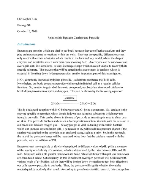 Planning and Designing Lab | DOCX