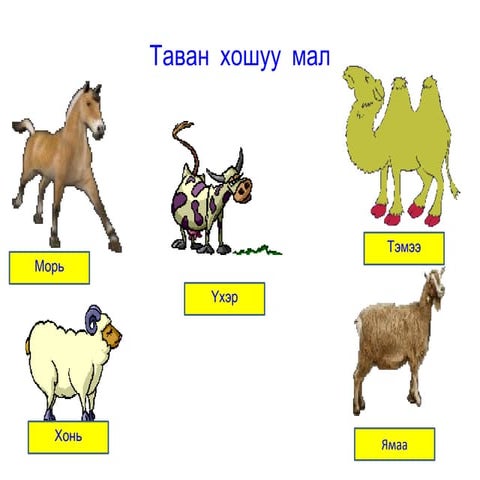 Ulaan malgait 10e gantuya | PPTX