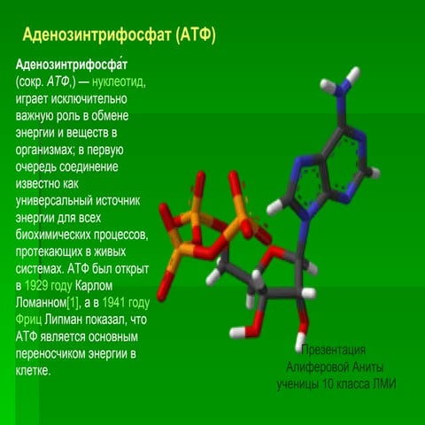 атф | PPT
