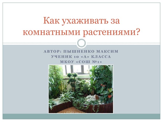 как ухаживать за комнатными растениями Ppt