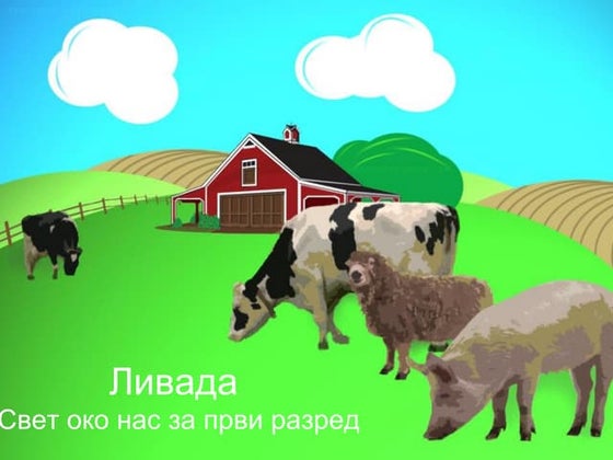 Biljke i životinje naših livada | PPTX