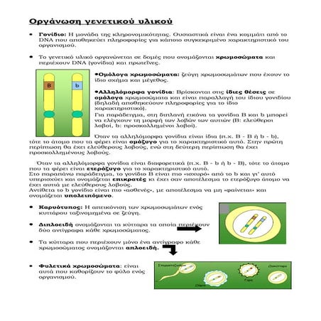 οργάνωση γενετικού υλικού | DOC