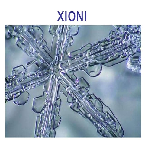 XIONI | PPT