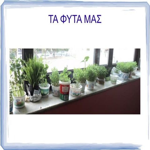 Traditional Children’s Games practising Maths.pptx