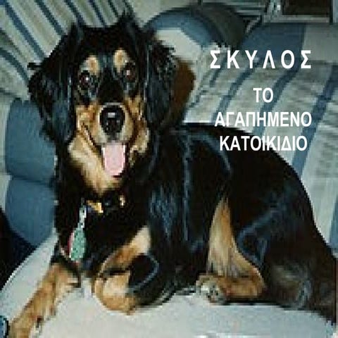 ΣΚΥΛΟΣ, ΤΟ ΑΓΑΠΗΜΕΝΟ ΚΑΤΟΙΚΙΔΙΟ | PPT