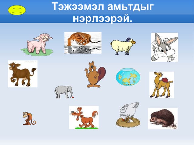 амьтдын үр төл
