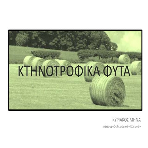 Κτηνοτροφικά φυτά | PPTX