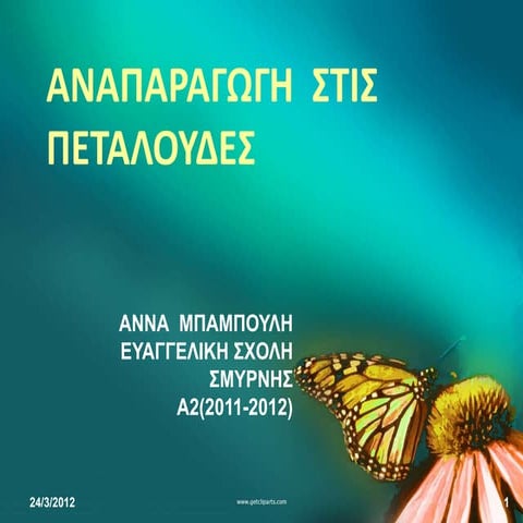πεταλουδες | PPTX