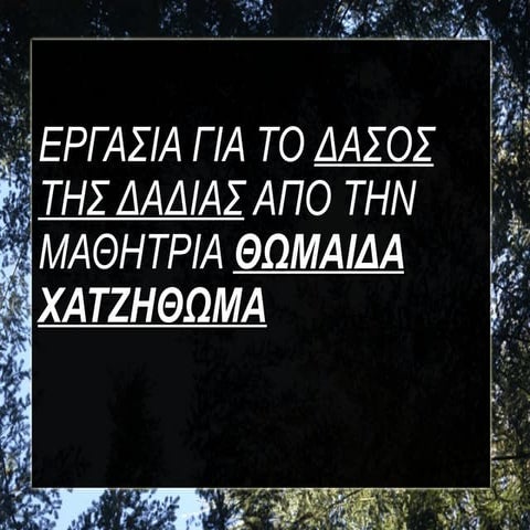 "Το Δάσος της Δαδιάς" | PPT