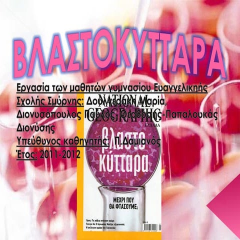 βλαστοκύτταρα-εργασία βιολογίας | PPT
