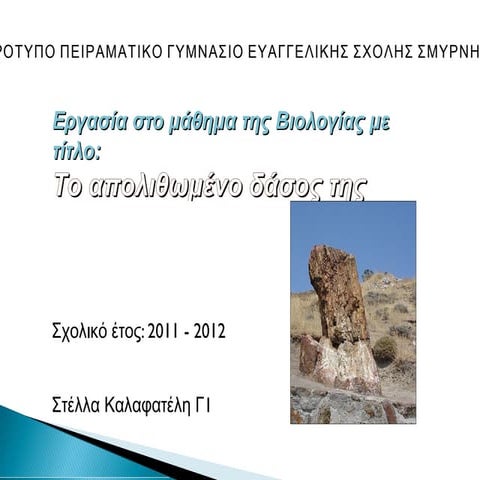 απολιθωμενο δασοσ μυτιληνησ | ODP