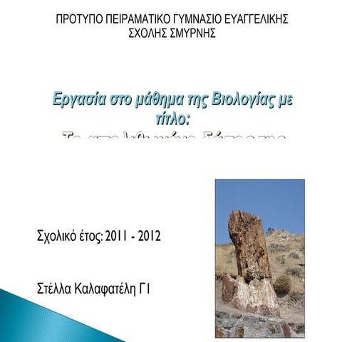 απολιθωμενο δασοσ μυτιληνησ | ODP