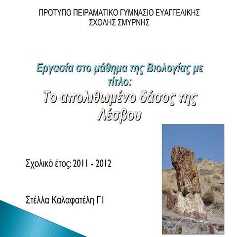 απολιθωμενο δασοσ | ODP
