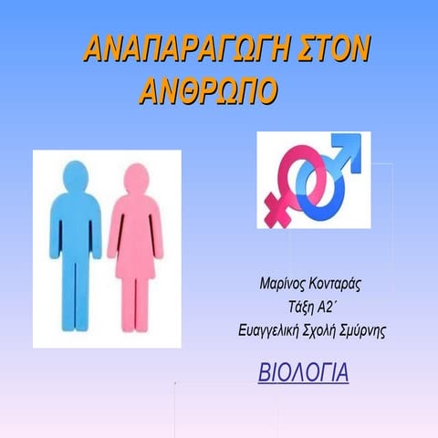 Η Αναπαραγωγή στον Άνθρωπο - Γυναίκα | PPT