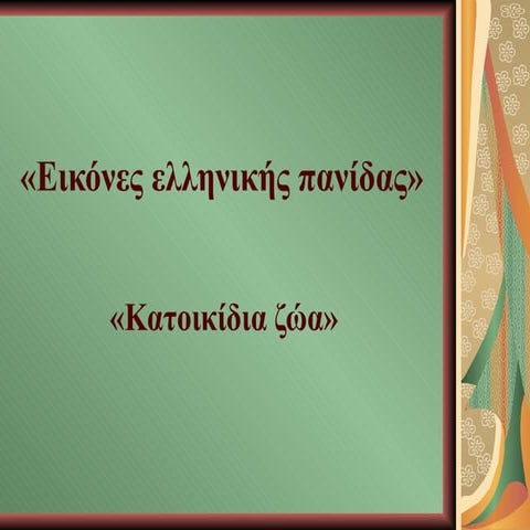 αγρια ζωα της ζουγκλας! | PPT