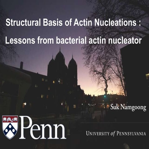 Structural Basis of Actin Nucleation | PPTX
