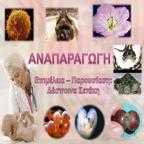 Βιολογία Γ΄ Γυμνασίου (18 διαγωνίσματα) | PDF