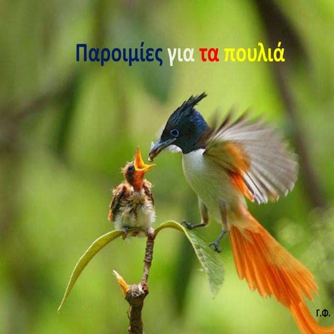 Παροιμίες για τα πουλιά | PPTX