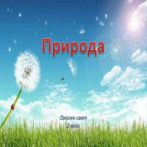 природа | PPT