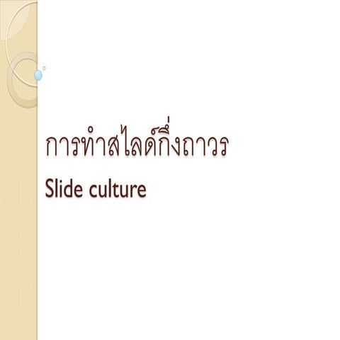 slide culture | PDF